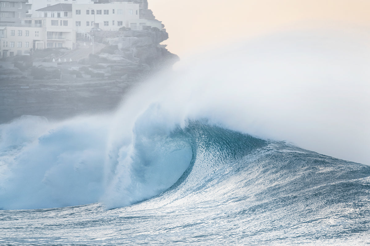 Big Tama – Matt Pearson Gallery