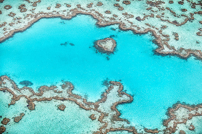 Heart Reef – Matt Pearson Gallery