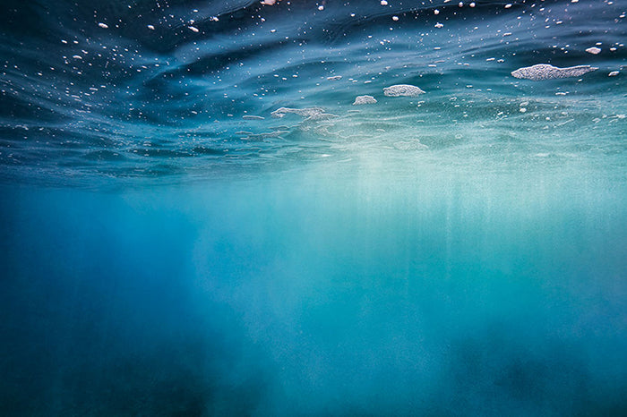 Ocean Heaven – Matt Pearson Gallery