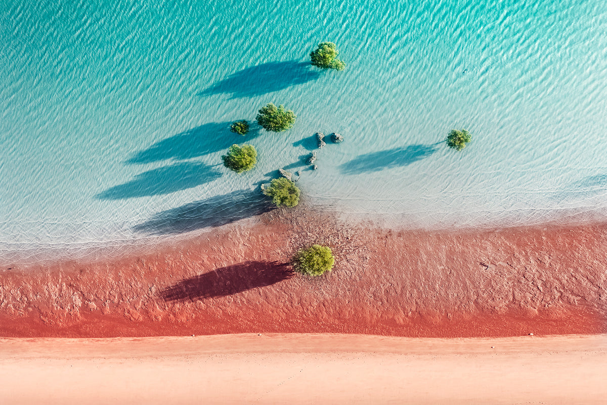 Roebuck Shadows – Matt Pearson Gallery