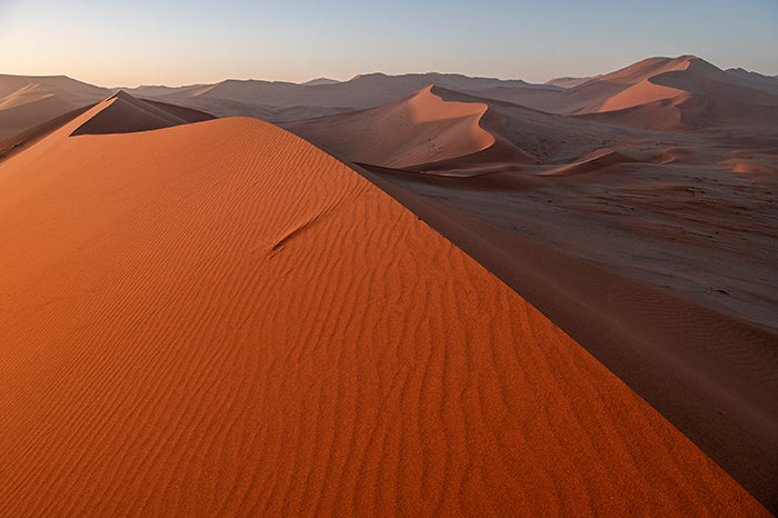 Sunset Shadows – Matt Pearson Gallery