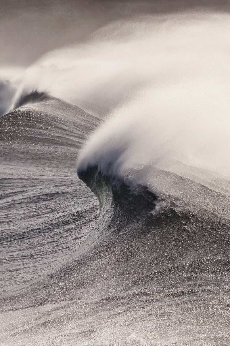 Wind Blown – Matt Pearson Gallery